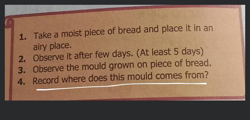 1. Take a moist piece of bread and place it in an airy place.2. Observe