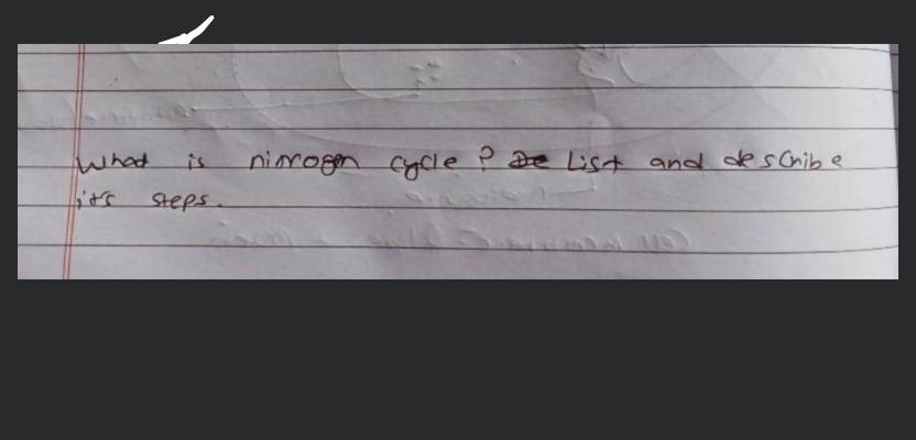 What is nimogen cycle? list and de scribe it's steps. | Filo