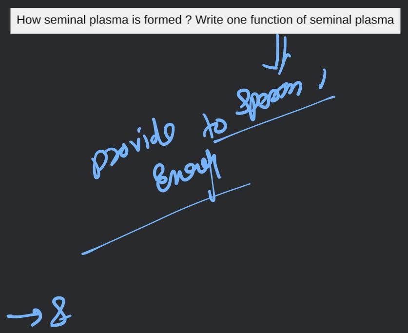 How seminal plasma is formed ? Write one function of seminal plasma..