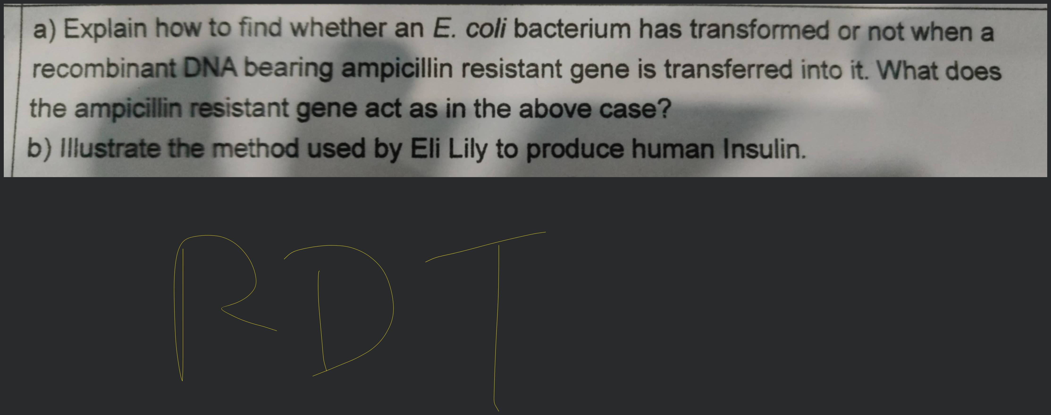a) Explain how to find whether an E. coli bacterium has transformed or no..