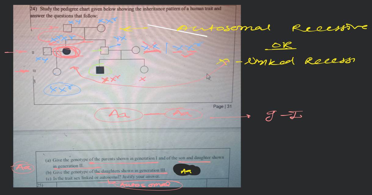 24) Study the pedigree chart given below showing the inheritance pattern