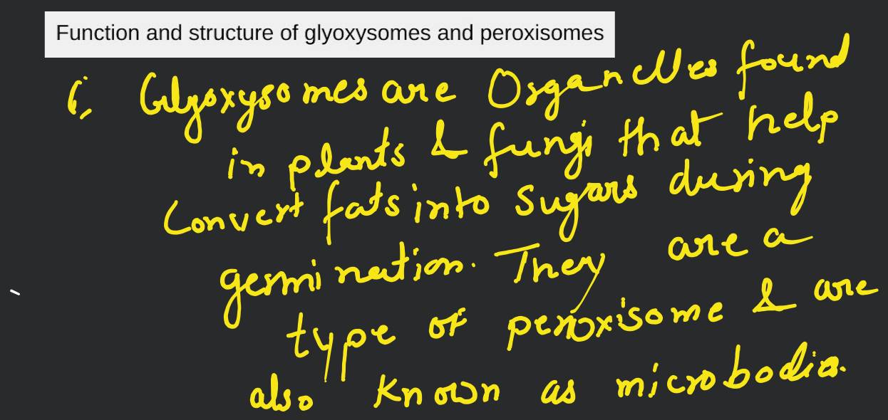 Function and structure of glyoxysomes and peroxisomes | Filo