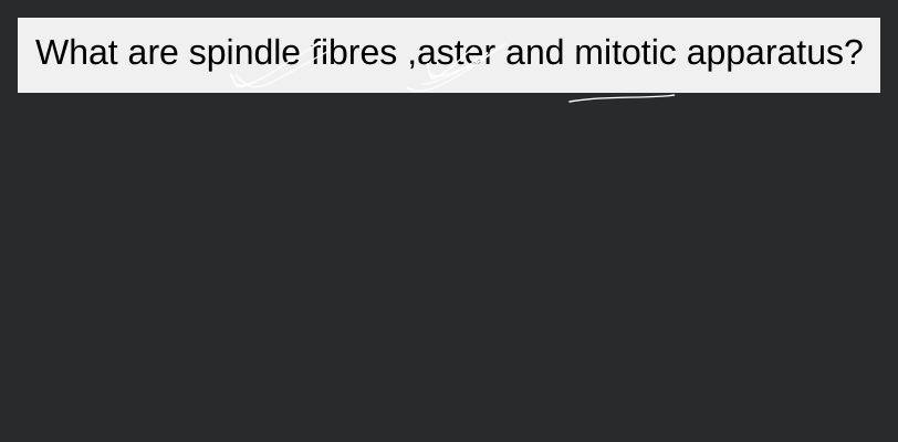 What are spindle fibres ,aster and mitotic apparatus? | Filo