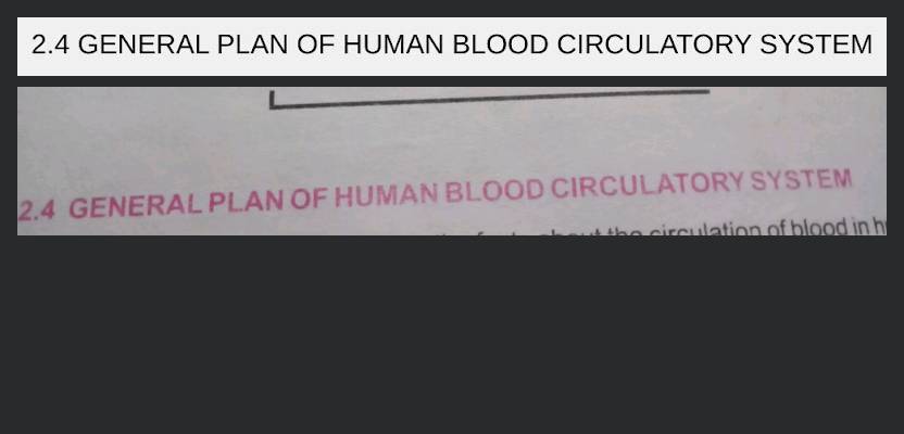 2.4 GENERAL PLAN OF HUMAN BLOOD CIRCULATORY SYSTEM | Filo