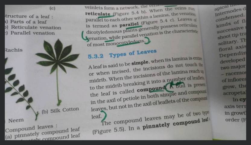 (c) -tructure of a leaf: a) Parts of a leaf 5) Reticulate venation c) Par..