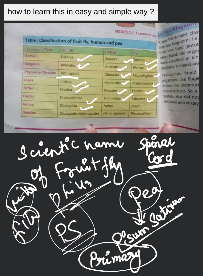 Table: Classification of fruit fly, human and pea Taxonomic Rank Fruit fl..