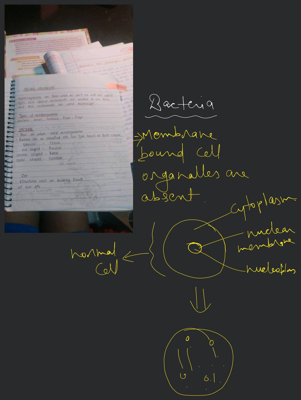 ABOUT THE PORT WORDS TO KNOW and . MICROO-ORGANISMS micrco organisms are
