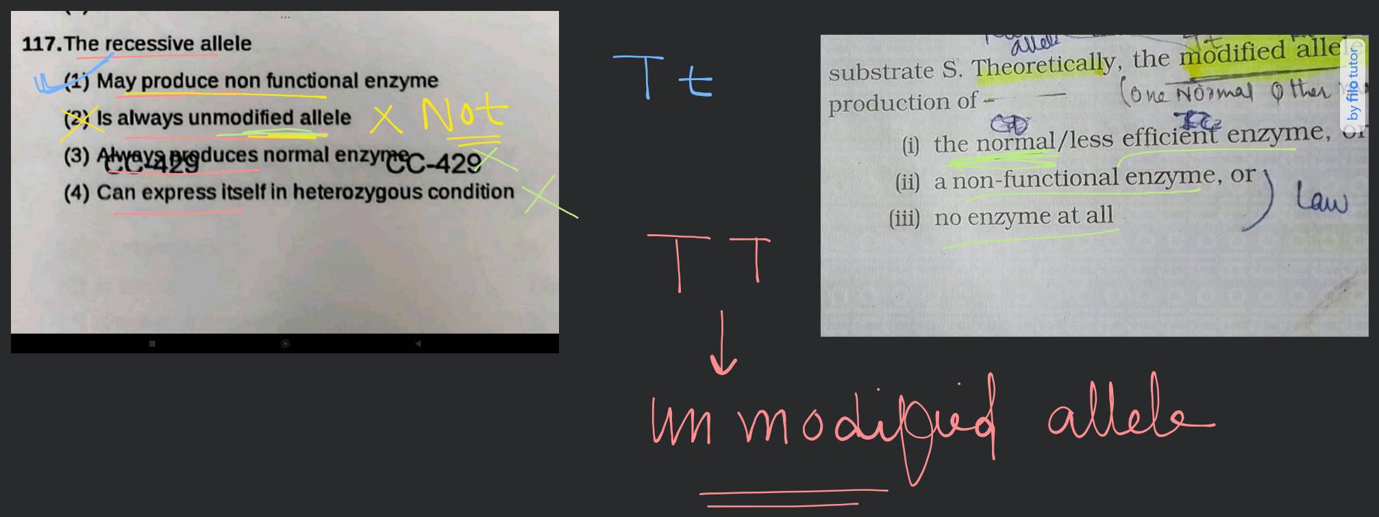 117.The recessive allele (1) May produce non functional enzyme (2) Is alw..