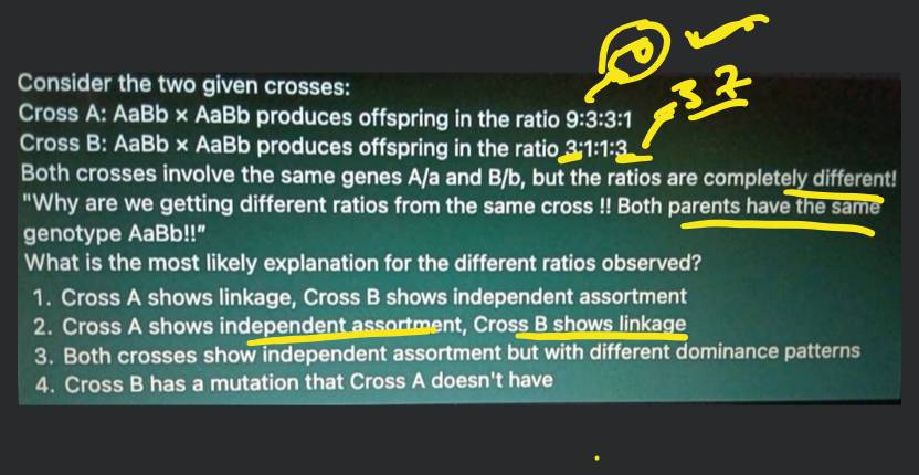 Consider the two given crosses: Cross A: AaBb x AaBb produces offspring i..