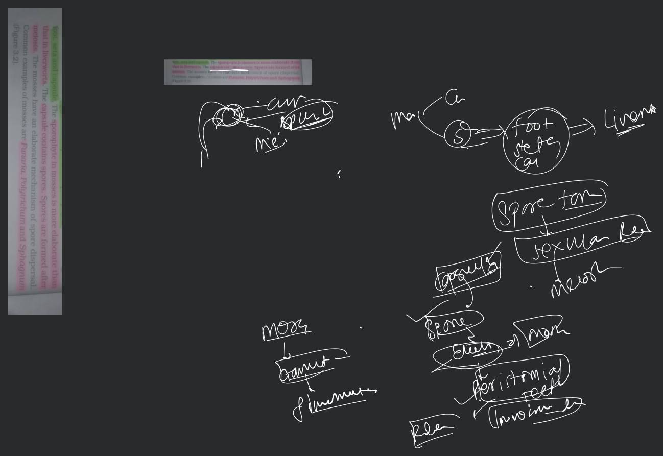 foot, seta and capsule. The sporophyte in mosses is more elaborate than t..