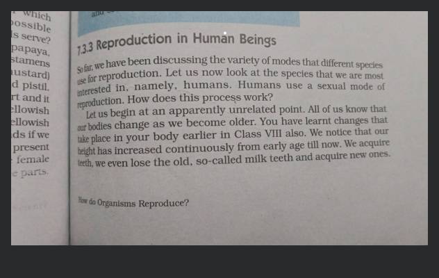 which possible Is serve? papaya, stamens mustard) d pistil. rt and it ell..