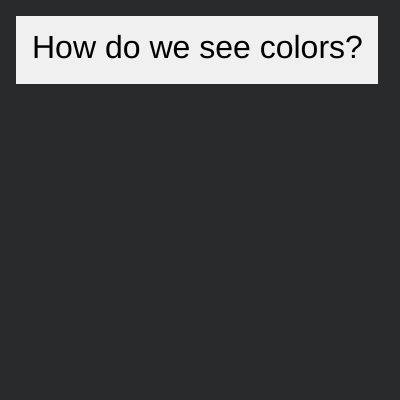 How do we see colors? | Filo